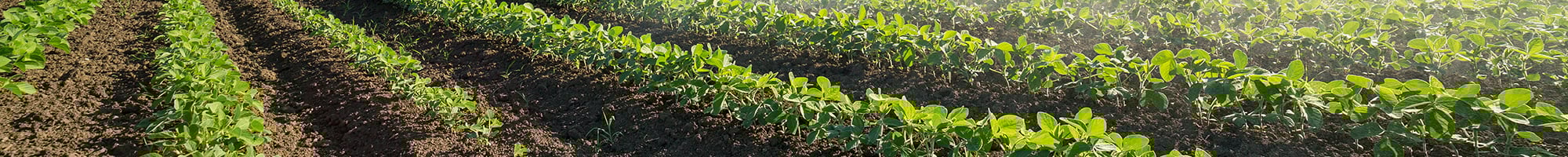 | Howie Equipment | Hampton, IA | Ag, Trailers, Tires